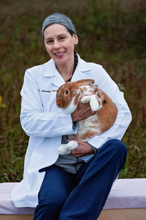 Best Veterinary Hospital In Traverse City, MI | Companion Animal Hospital